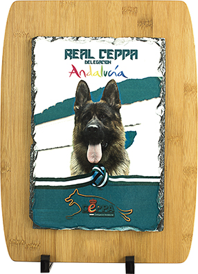 Bamboo and Wood Slate Trophy