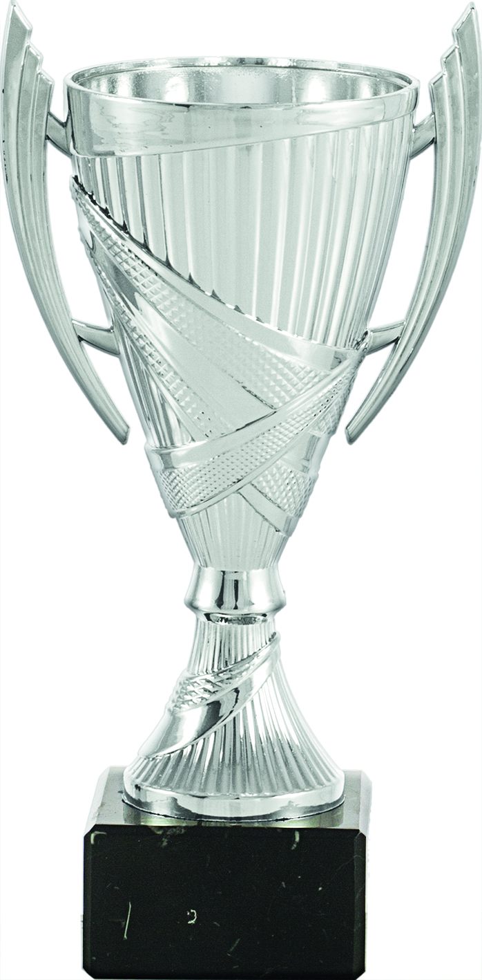 Trophy cup cone color silver handles